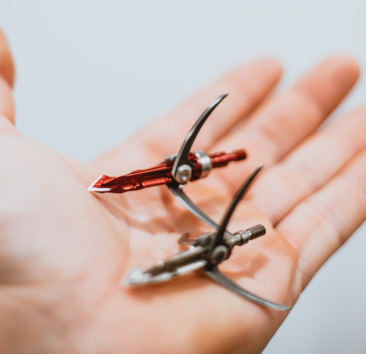 B3 Archery - Archery Source - Shop all B3 Archery Broadheads and more ...