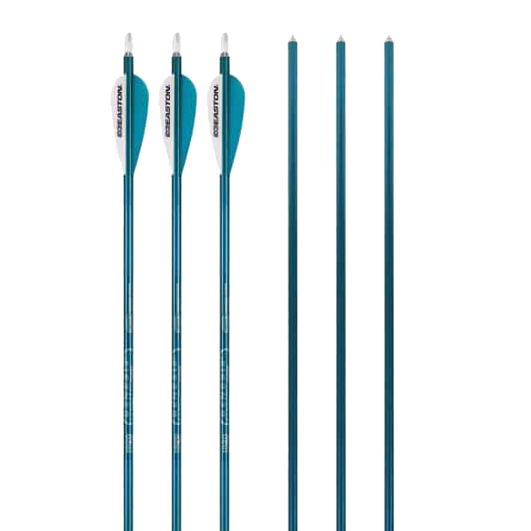 Easton® XX75 Genesis 30” NASP® Arrows - Archery Source – Archerysource