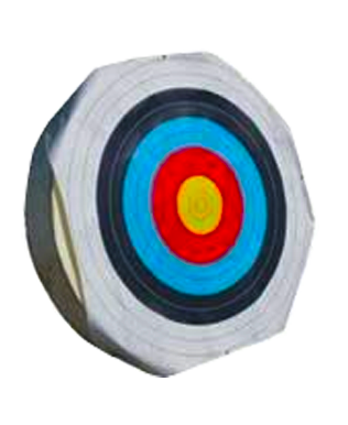 Powerlite Competition Target 36"x7" - Archery Source – Archerysource
